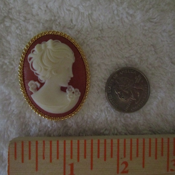 Unbranded | Jewelry | Vintage Resin Cameo Brooch Pin Newer Piece | Poshmark